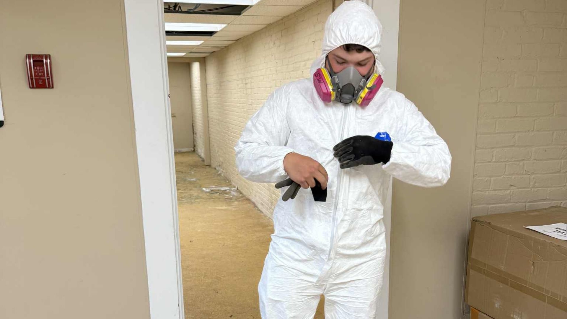About Us | Waterville Pest Control Experts - Northern Pest Solutions