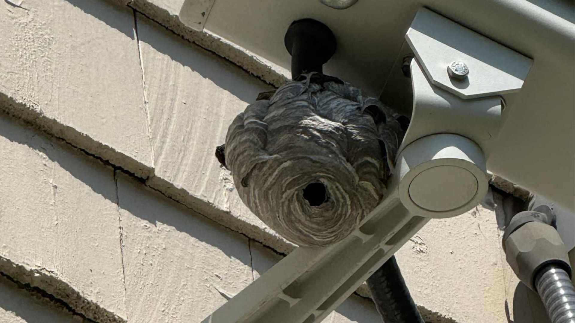 Outdoor Pest Control Waterville Maine | Northern Pest Solutions